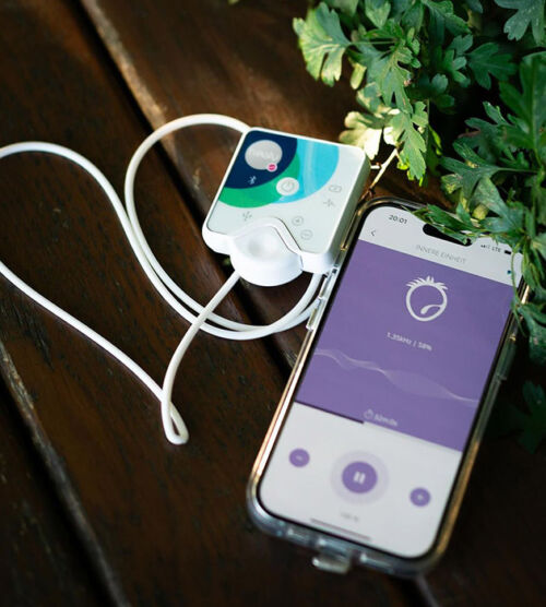 Welcome to Healy World - Healy Shop Turkiye